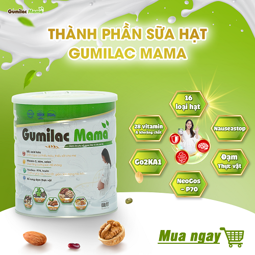 Sữa Hạt Dành Cho Mẹ Bầu Gumilac Mama SP01 - 1 lon 650g